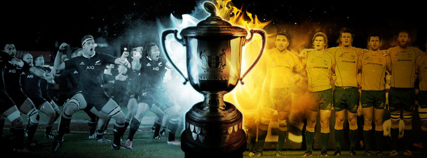 The Bledisloe Cup for dummies | Kate Rowan Media